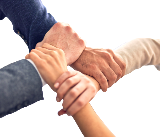 Xenium Academy - Educational and Career development services